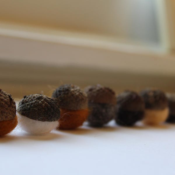 Miniature Acorns - Etsy
