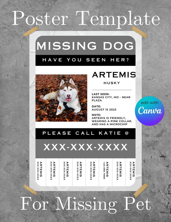 Lost Poster Template