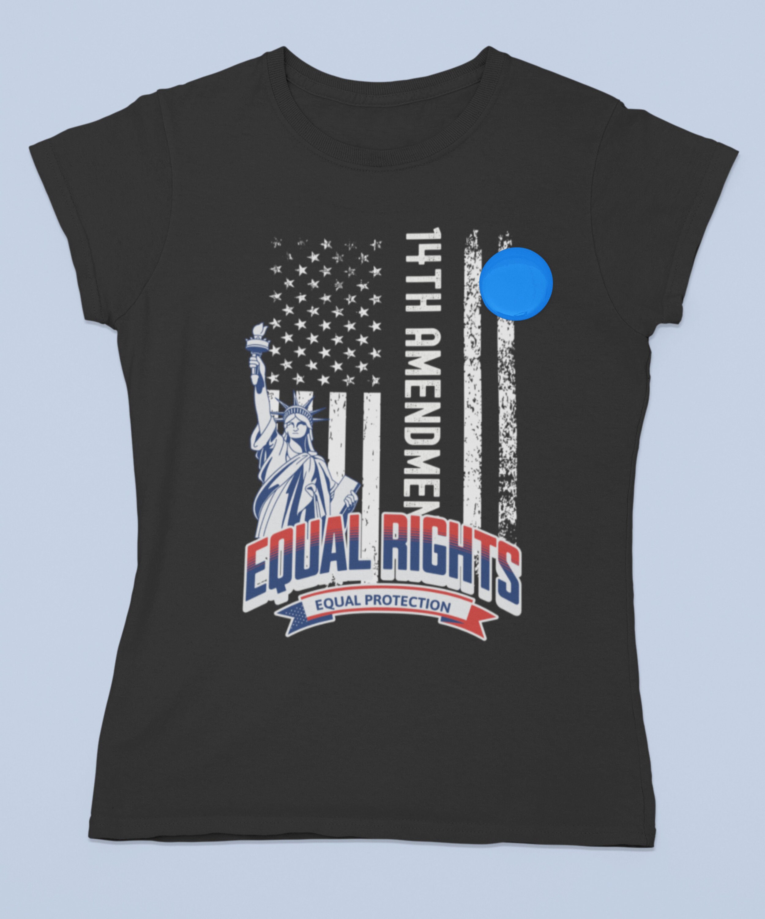 14th Amendment T-shirt, Equal Rights Equal Protection Shirt, Amendment ...