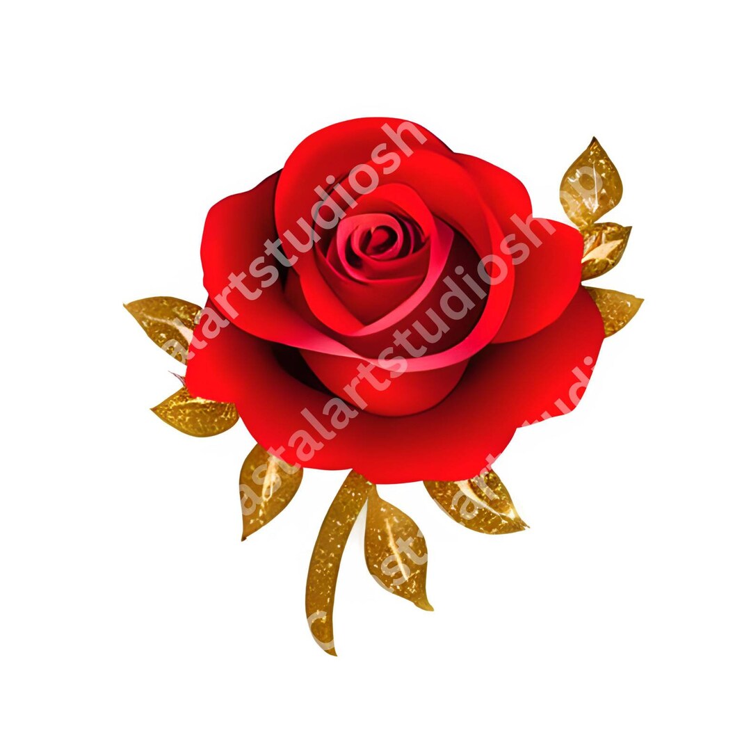Red and Gold Rose PNG Realistic Rose Sublimation Design Floral Graphic ...