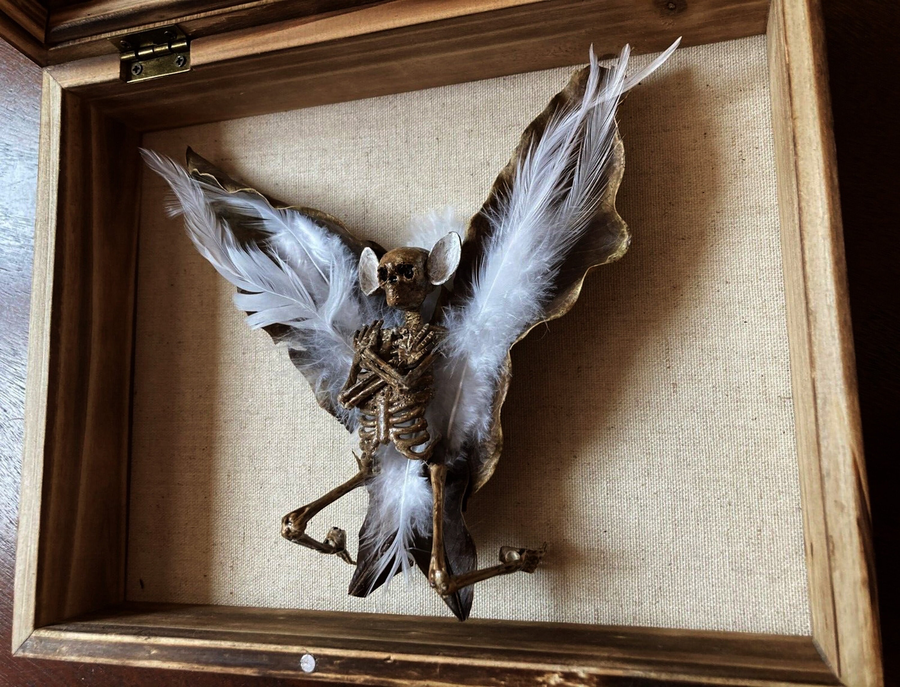 Halloween Art Mummified Skeleton Bat 3D Mixed Media Art 6 in Shadow Box ...