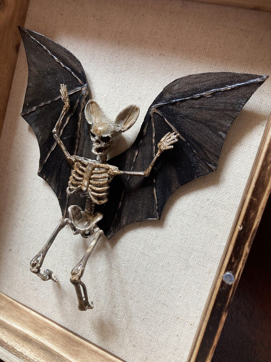 Mummified Skeleton Bat 3D Mixed Media Art - Etsy