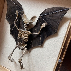 Mummified Skeleton Bat 3D Mixed Media Art - Etsy