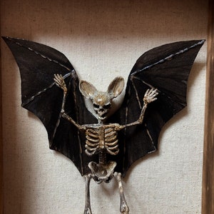 Mummified Skeleton Bat 3D Mixed Media Art - Etsy