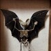 Mummified Skeleton Bat 3D Mixed Media Art - Etsy