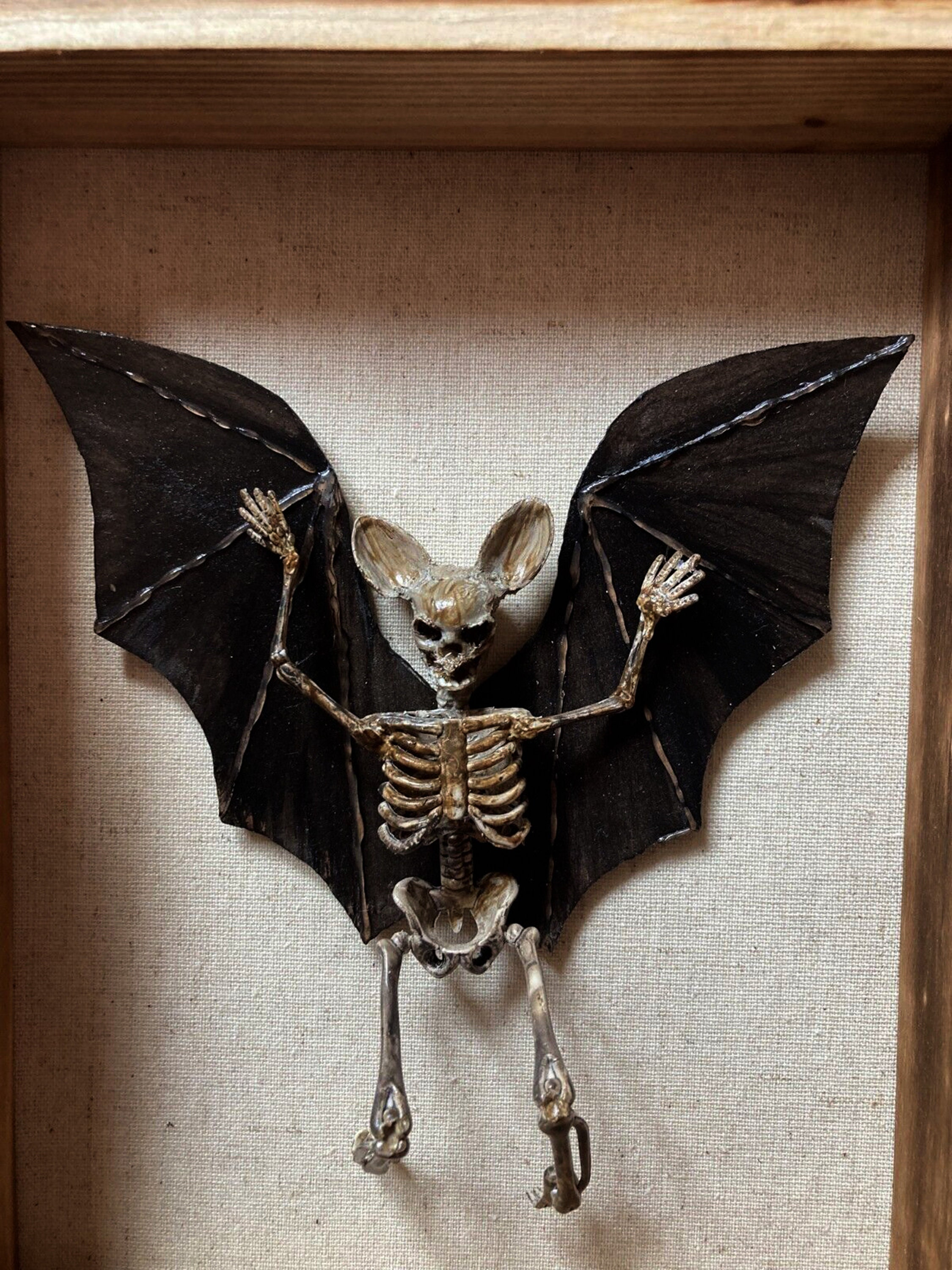 Mummified Skeleton Bat 3D Mixed Media Art - Etsy