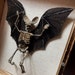 Mummified Skeleton Bat 3D Mixed Media Art - Etsy