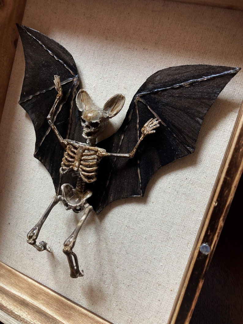 Mummified Skeleton Bat 3D Mixed Media Art - Etsy
