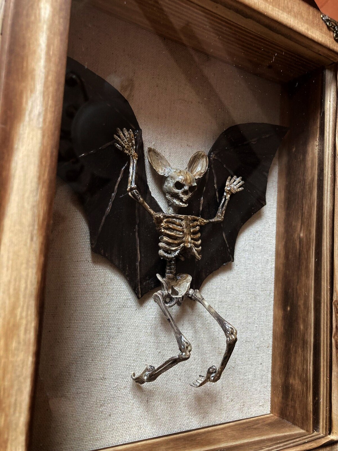 Mummified Skeleton Bat 3D Mixed Media Art - Etsy