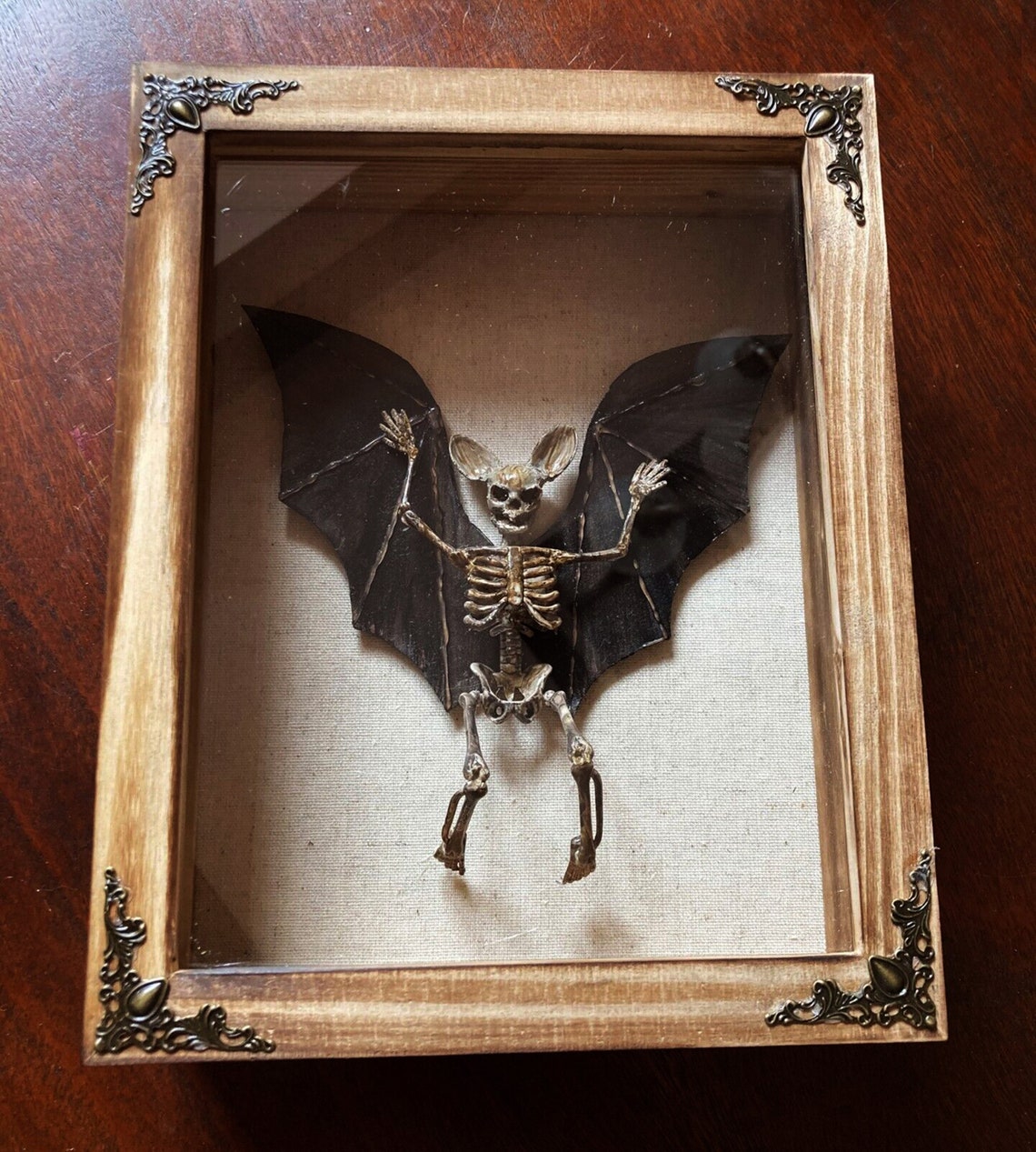 Mummified Skeleton Bat 3D Mixed Media Art - Etsy