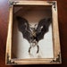 Mummified Skeleton Bat 3D Mixed Media Art - Etsy