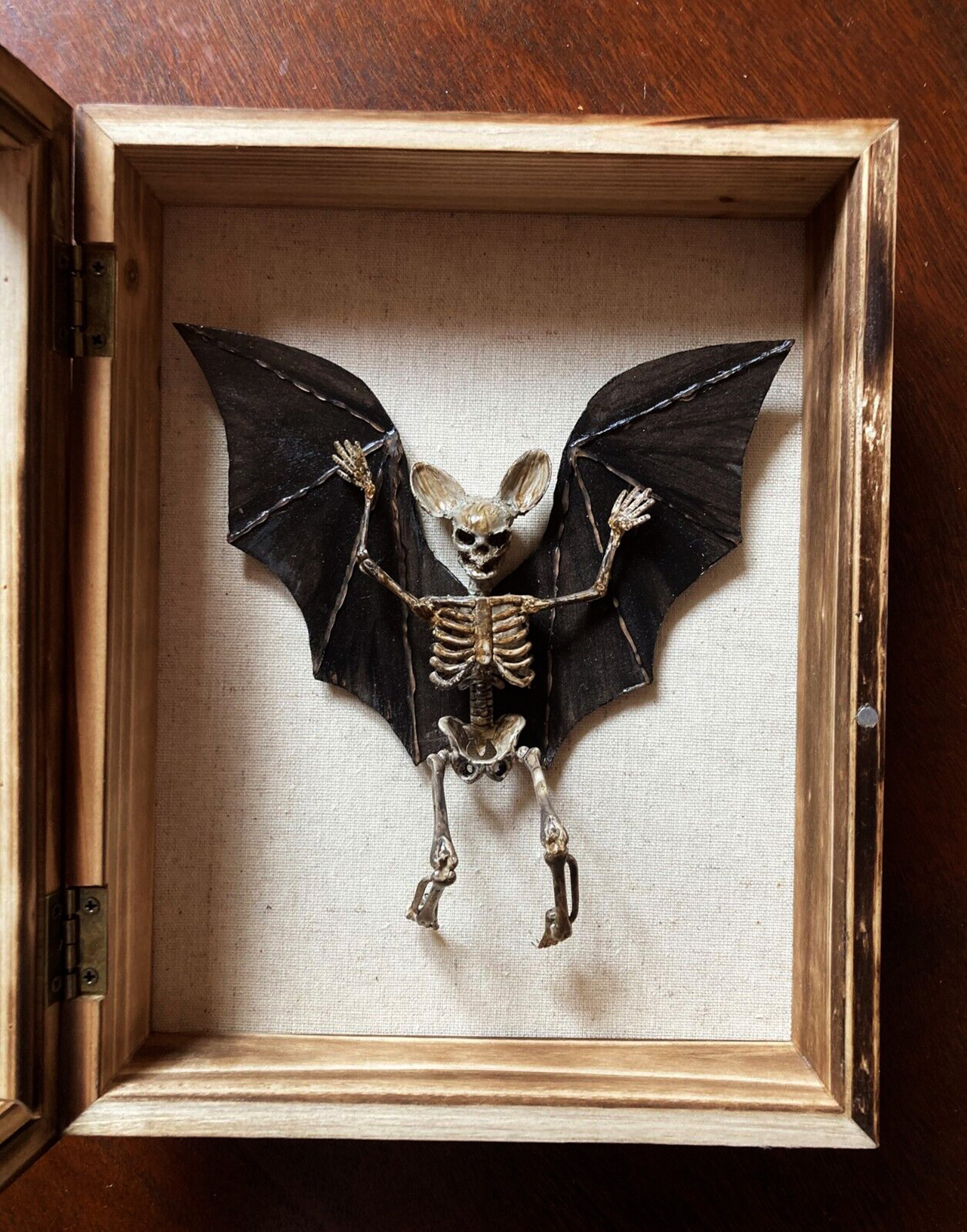Mummified Skeleton Bat 3D Mixed Media Art - Etsy