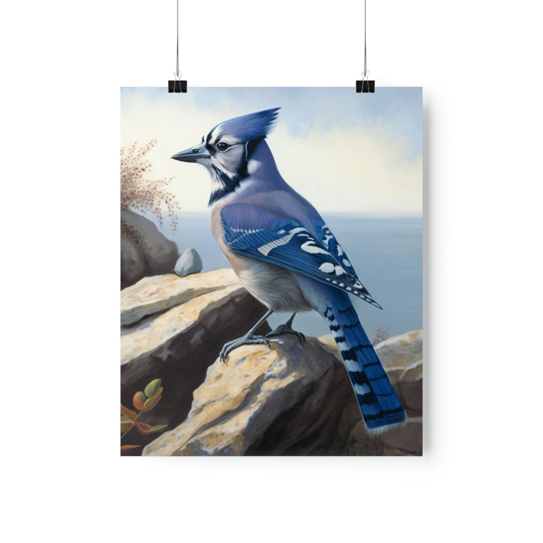 Blue Jay: Vibrant Bird on Rock Print | Birder Gift | Bird Decal ...