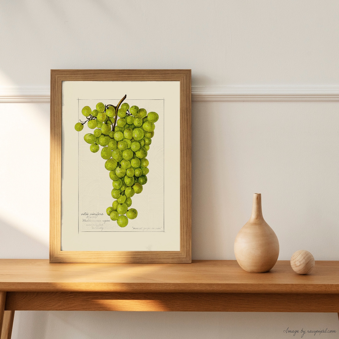 Grape Vine Kitchen Wall Art | Dining Room Decor Fruit Digital Print ...