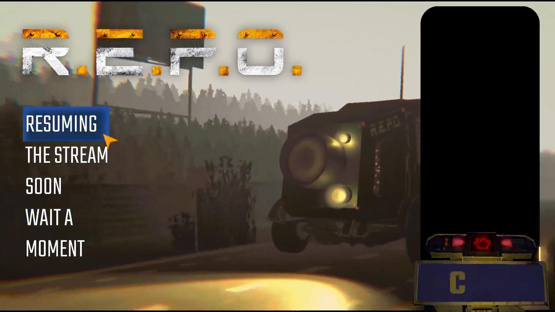 Repo Overlays Pack - Etsy