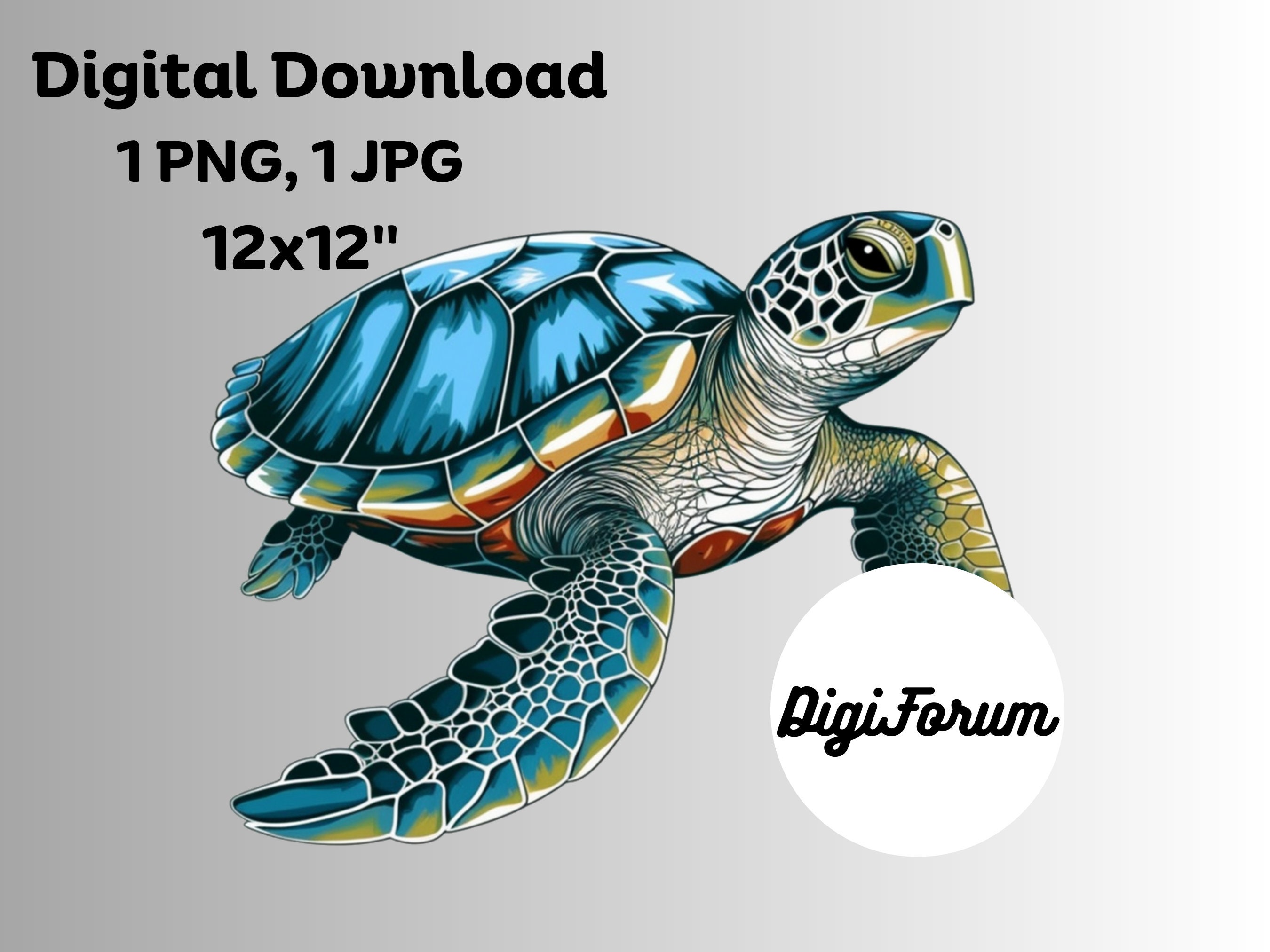 Sea Turtle Blue Sea Turtle Clipart Ocean Animals Sea Turtle - Etsy