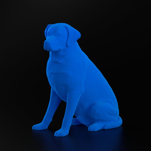 Black Lab Statue - Etsy