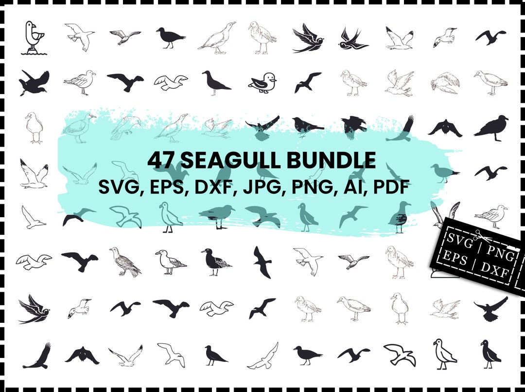 Seagull Svg Bundle, Seagull Png Bundle, Seagull Clipart, Seagull Svg Cut Files for Cricut ...