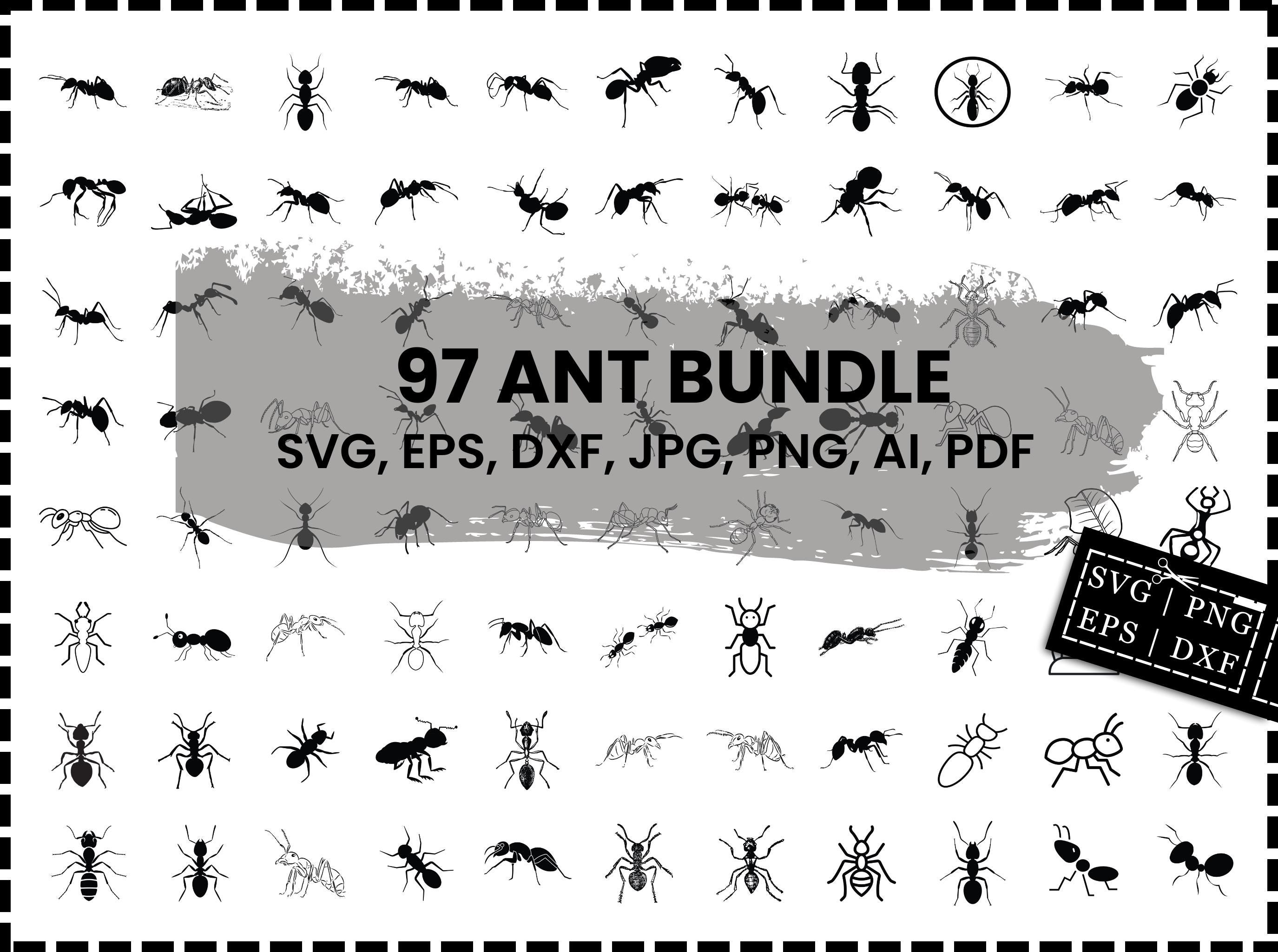 Ant Svg, Ants Svg, Ant Printable, Ant Designs Svg, Insect Svg, Ant Svg ...