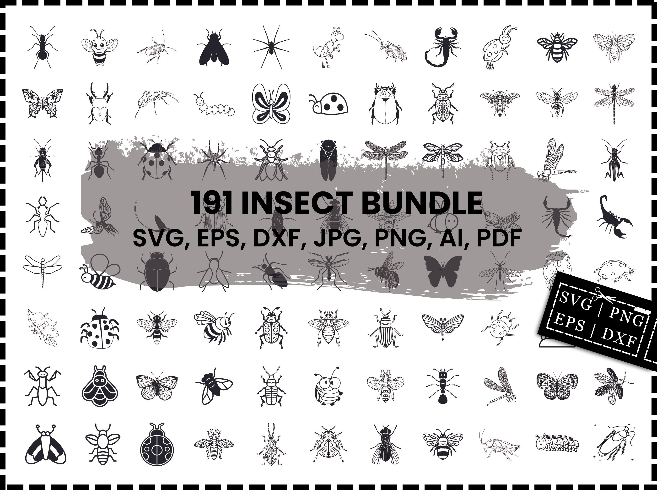 Insect Svg Bundle, Insects Svg, Insect Dxf, Insect Png, Insect Eps ...