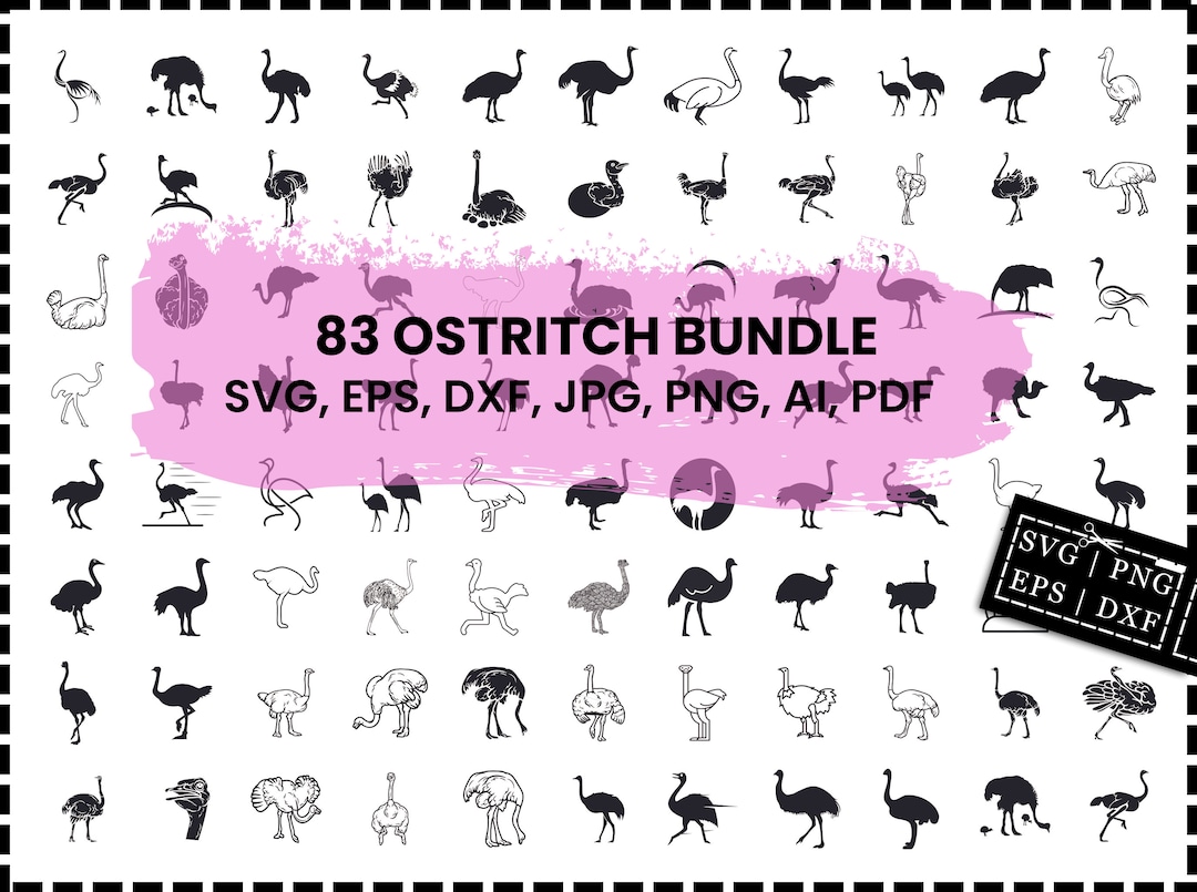 Ostrich Svg Bundle, Ostrich Dxf, Ostrich Png, Ostrich Eps, Ostrich ...