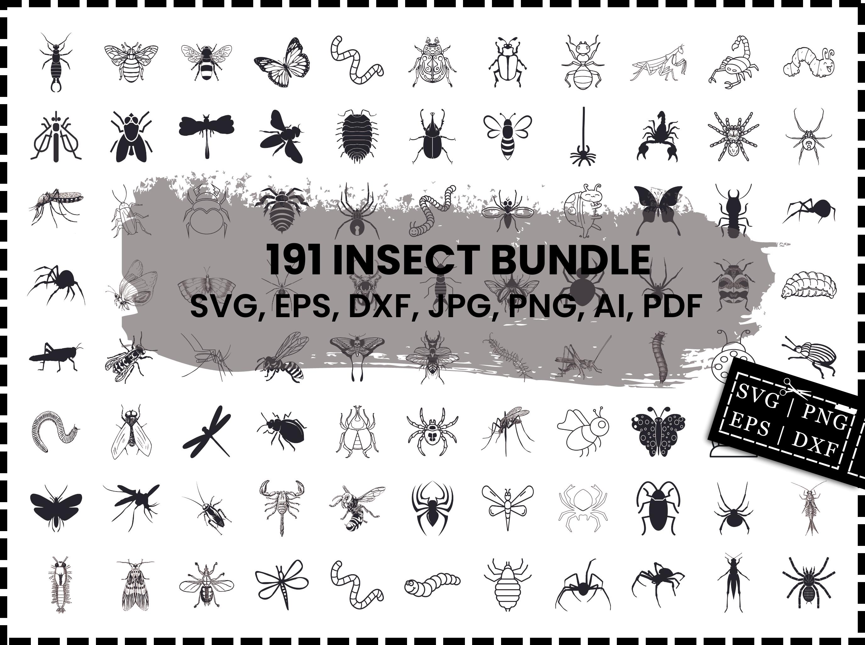 Insect Svg Bundle, Insects Svg, Insect Dxf, Insect Png, Insect Eps ...