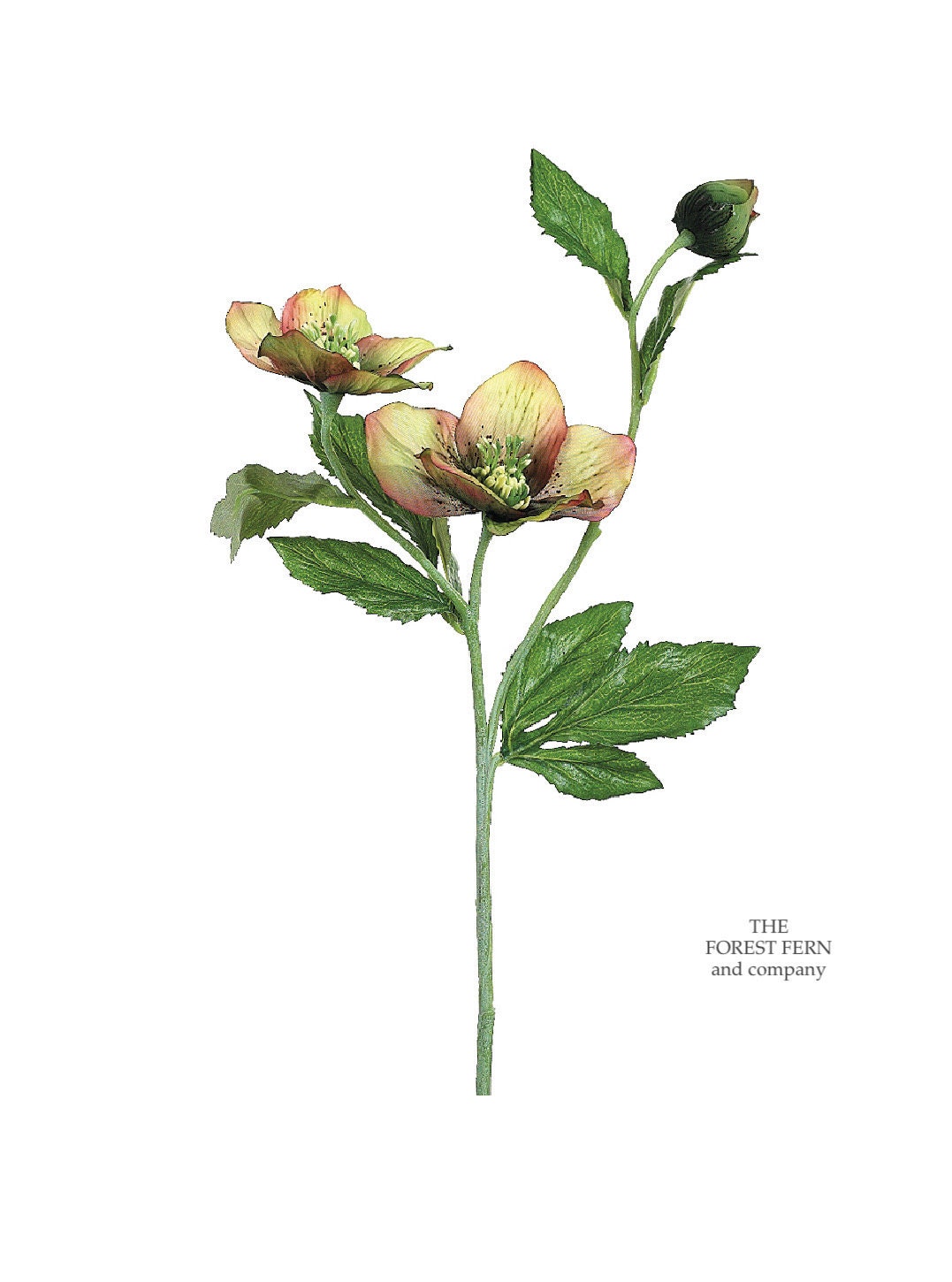 22 Helleborus Sage/ Burgundy Artificial Faux Floral Stem, Artificial ...