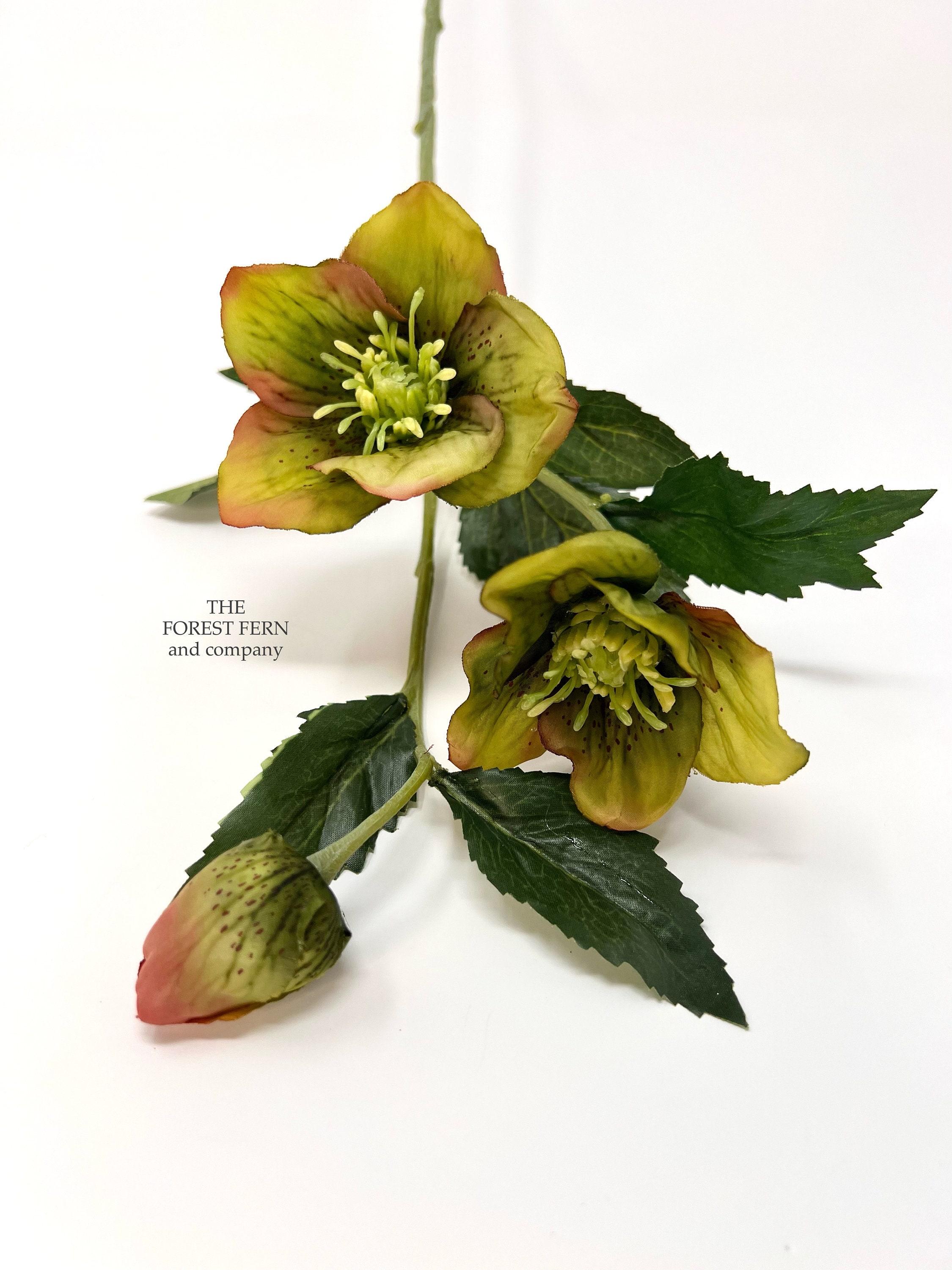 22 Helleborus Sage/ Burgundy Artificial Faux Floral Stem, Artificial ...