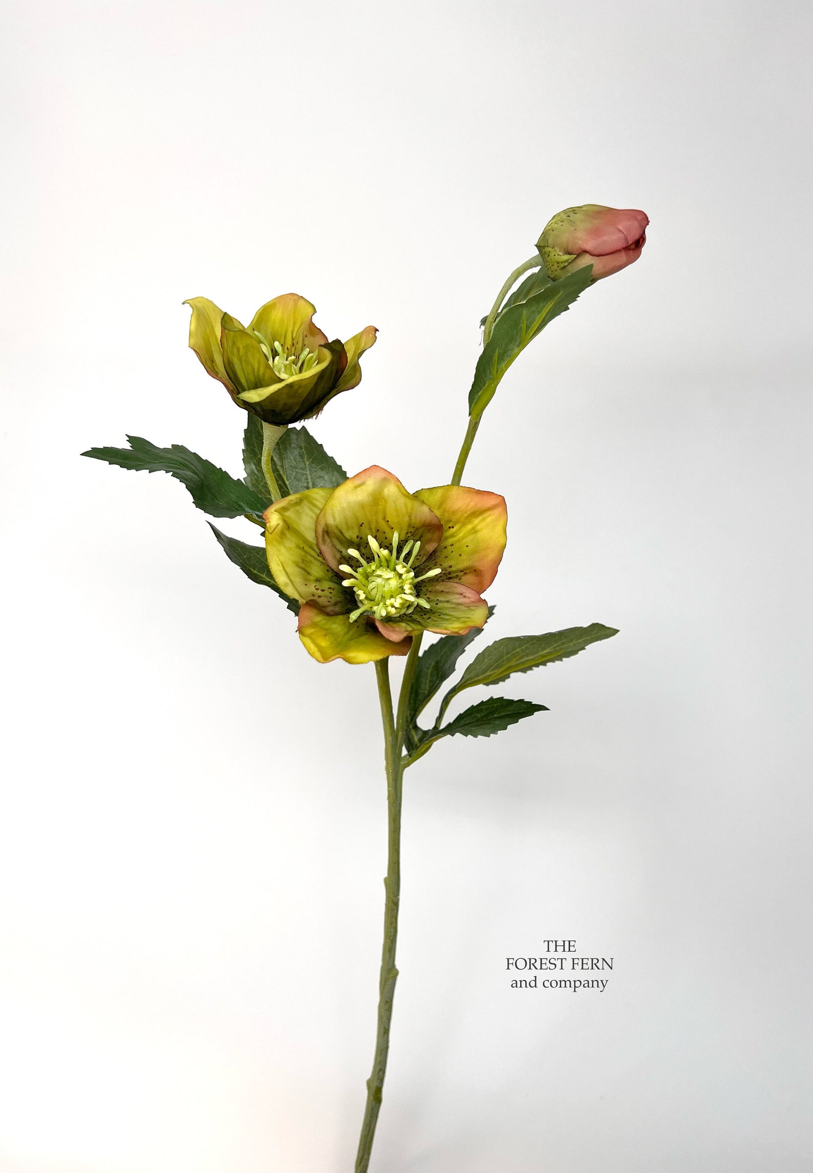 22 Helleborus Sage/ Burgundy Artificial Faux Floral Stem, Artificial ...