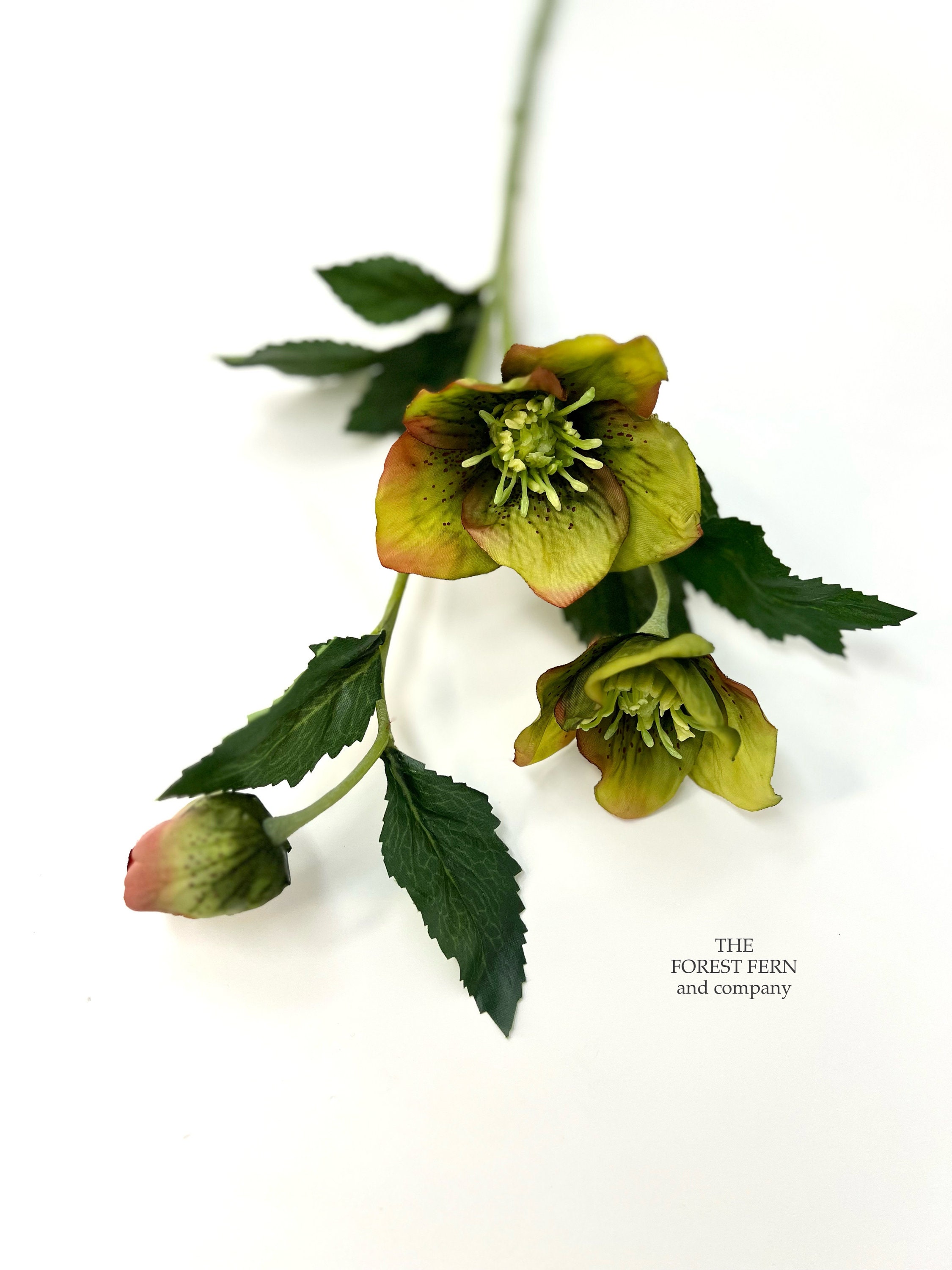 22 Helleborus Sage/ Burgundy Artificial Faux Floral Stem, Artificial ...