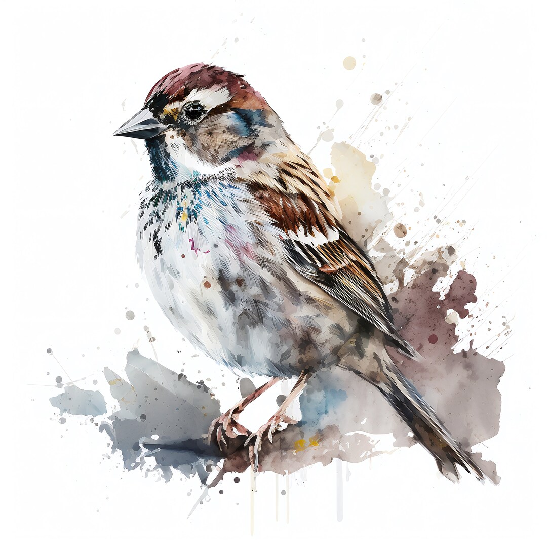 Watercolour Sparrow Painting Printable Wall Art / Includes 6 Sizes / Hi ...