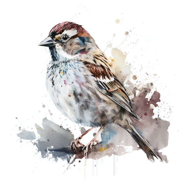 Sparrow Painting - Etsy