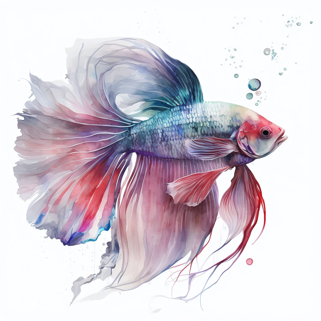 Watercolour Betta Fish Painting Printable Wall Art / Includes 6 Sizes ...