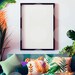 9 Colorful Boho Mockups With Plants VOL1 | Empty Frame Bundle | Mockup ...