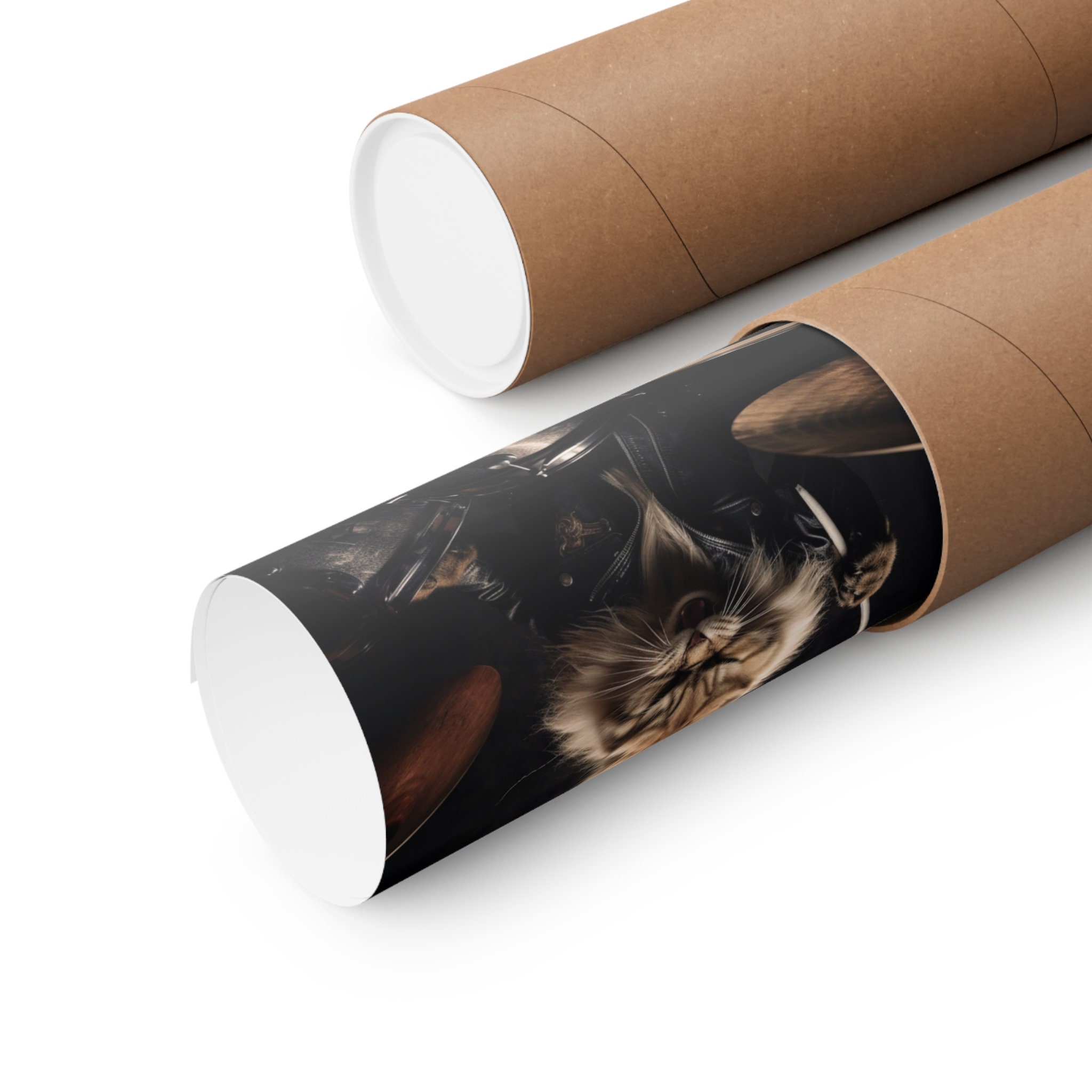 Modern Animal Rhythms: Realistic Cat Playing Drums in Abstract Art ...