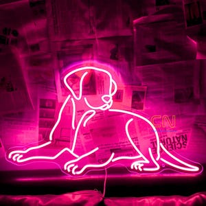 Pet Open Neon Sign, Open Neon Sign, Pet Shop Welcome Sign, Open Sign ...
