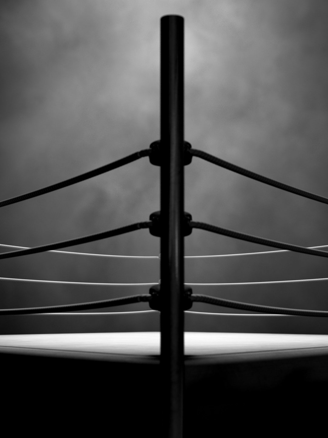 Boxing Digital Download Photos - Etsy