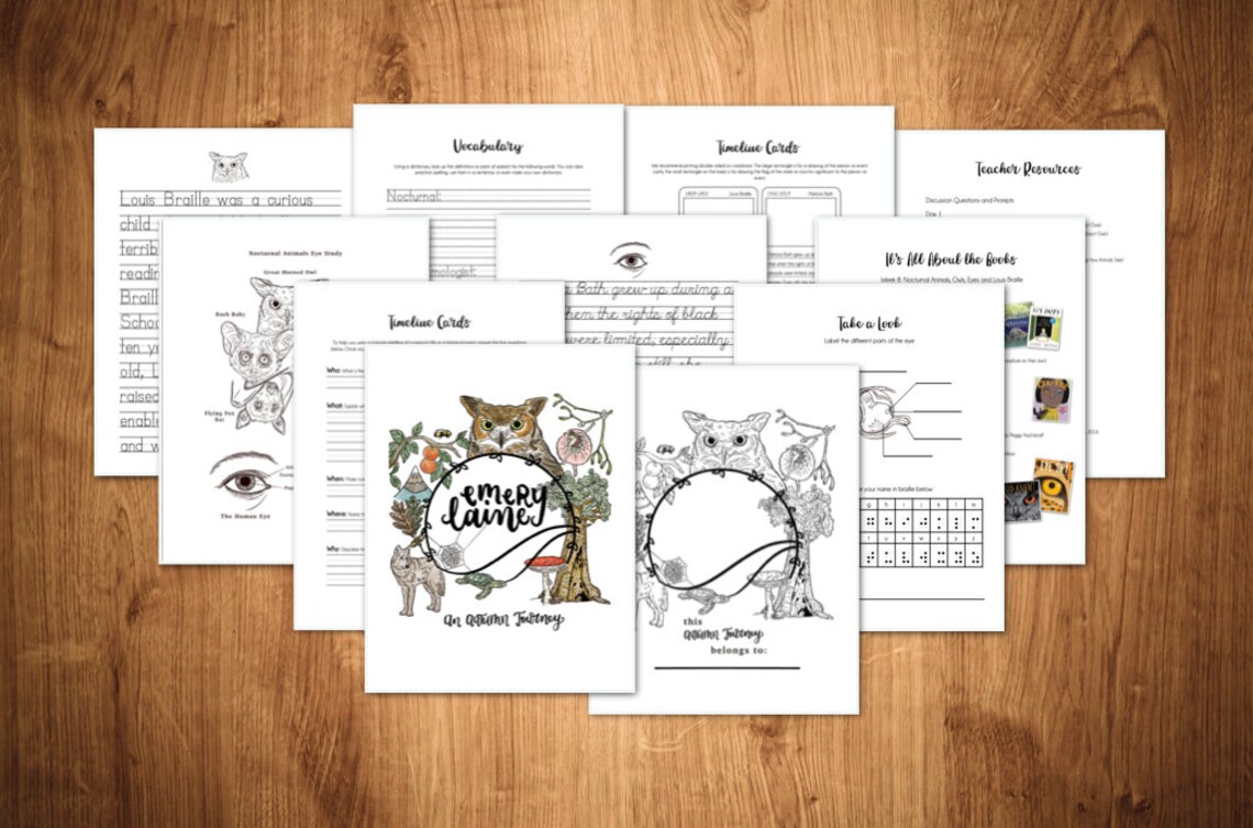 Nocturnal Animals, Owls, Eyes and Louis Braille Unit Study - Etsy