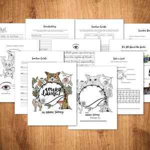 Nocturnal Animals, Owls, Eyes and Louis Braille Unit Study - Etsy