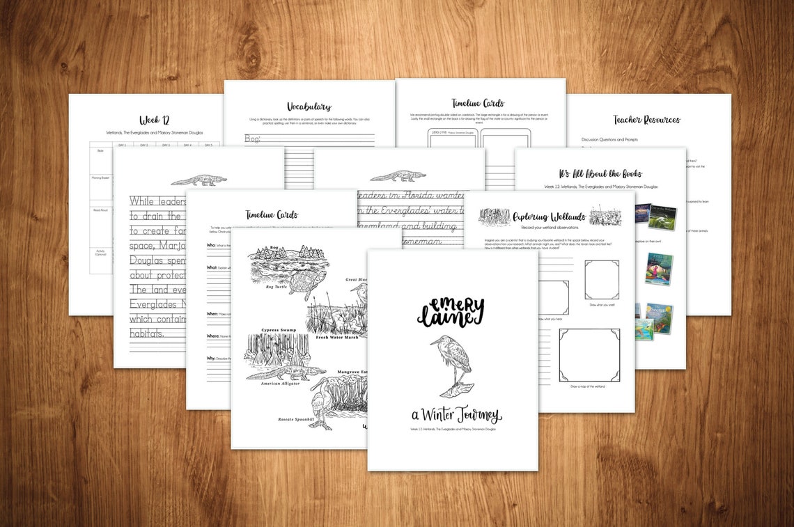 Wetlands, the Everglades and Marjory Stoneman Douglas Unit Study - Etsy