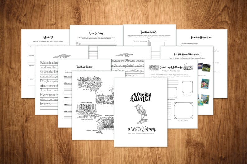 Wetlands, the Everglades and Marjory Stoneman Douglas Unit Study - Etsy