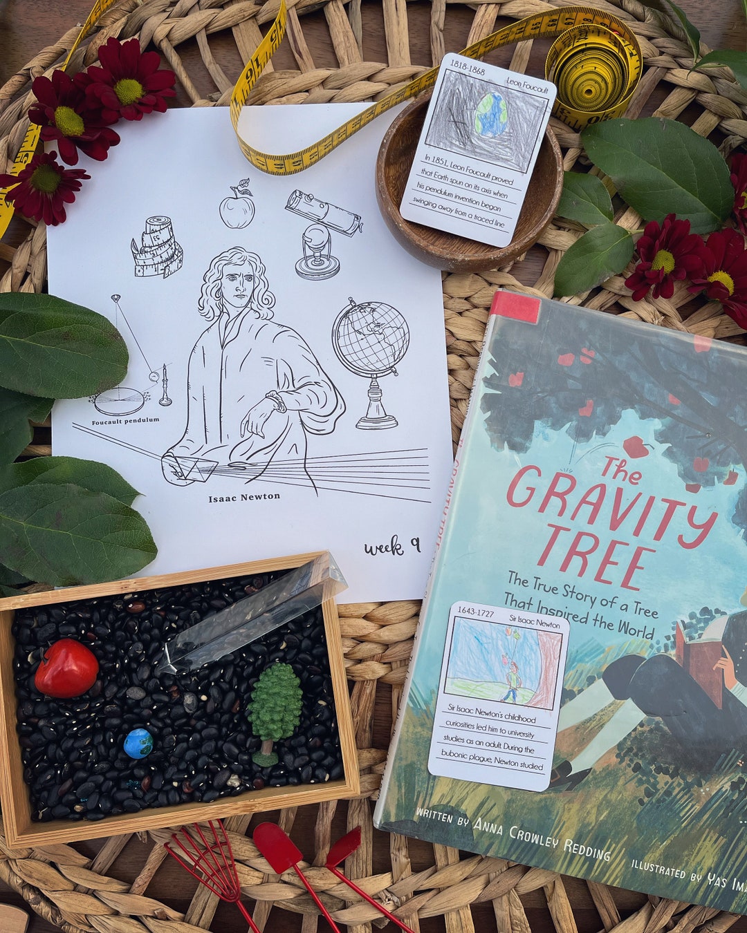 Earth, Motion and Sir Isaac Newton Unit Study - Etsy