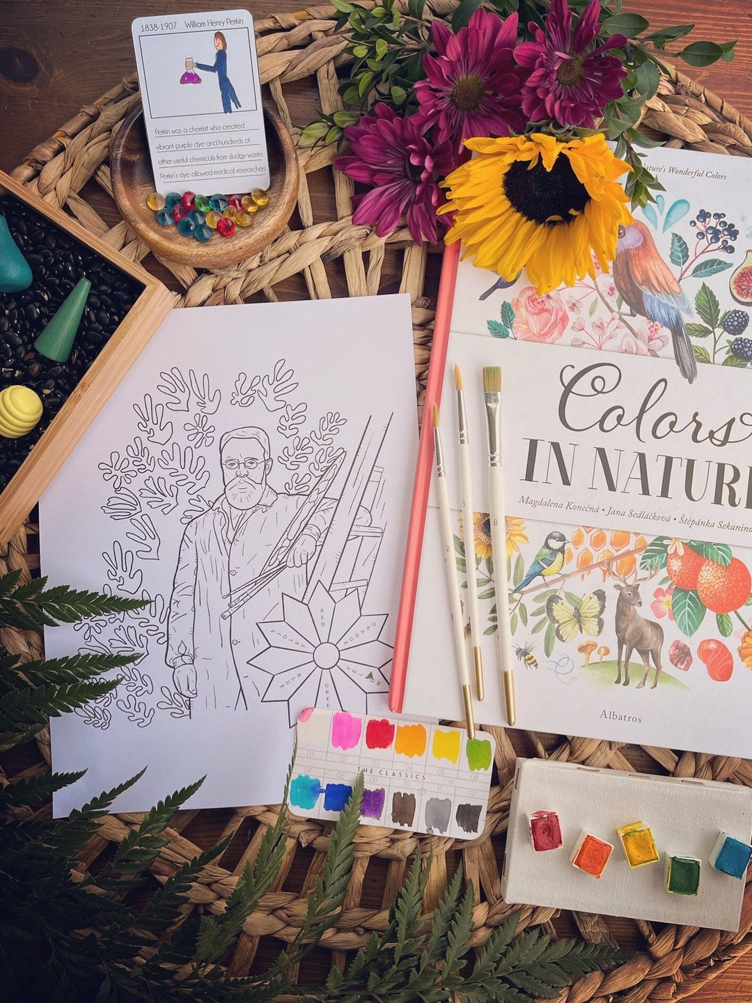 Color Theory, Henri Matisse and Josef Albers Unit Study - Etsy