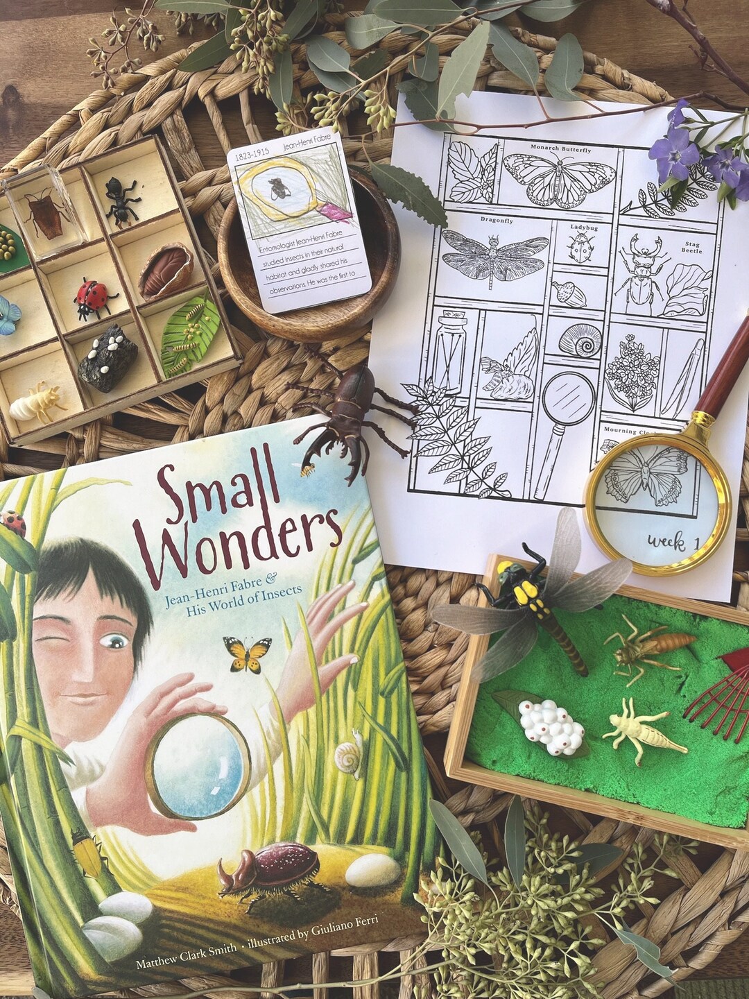 Summer Solstice, Insects and Jean-henri Fabre - Etsy