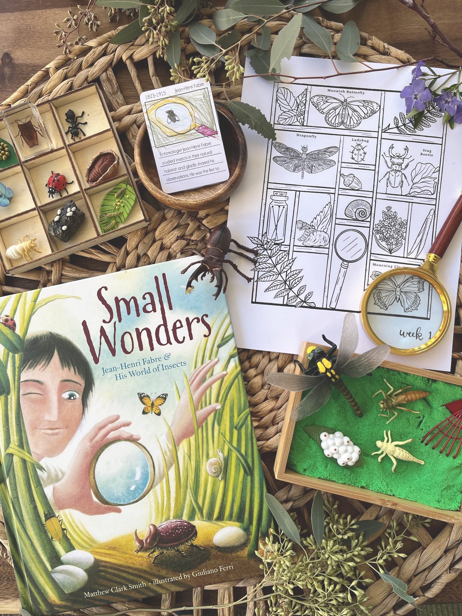 Summer Solstice, Insects and Jean-henri Fabre - Etsy