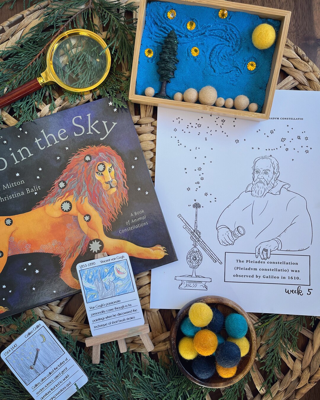 Stars, Galileo Galilei and Vincent Van Gogh Unit Study - Etsy