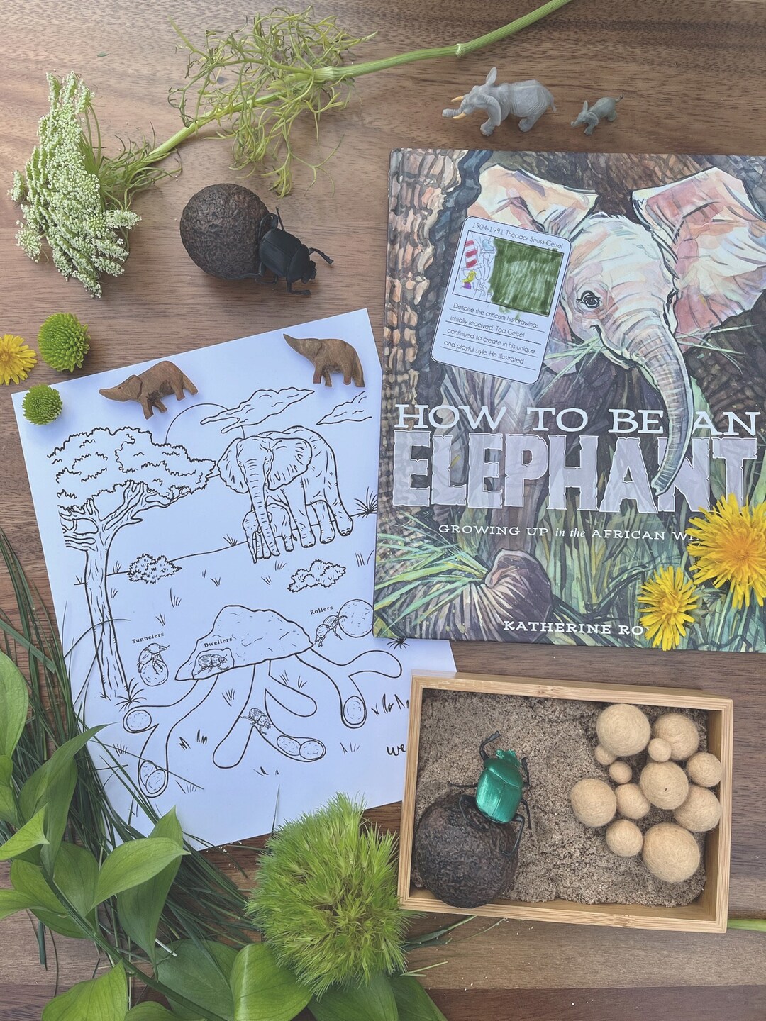 Elephants, Dung Beetles and Dr. Seuss - Etsy