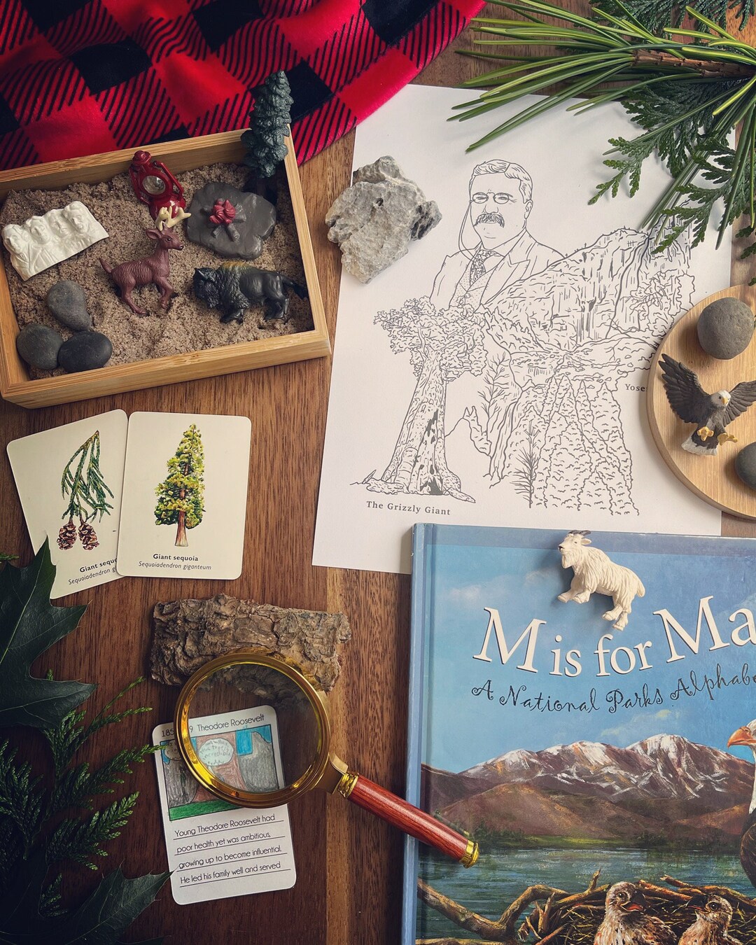 National Parks, John Muir and Theodore Roosevelt Unit Study - Etsy