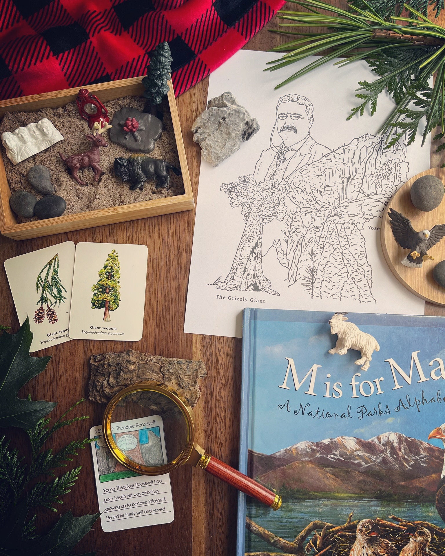 National Parks, John Muir and Theodore Roosevelt Unit Study - Etsy