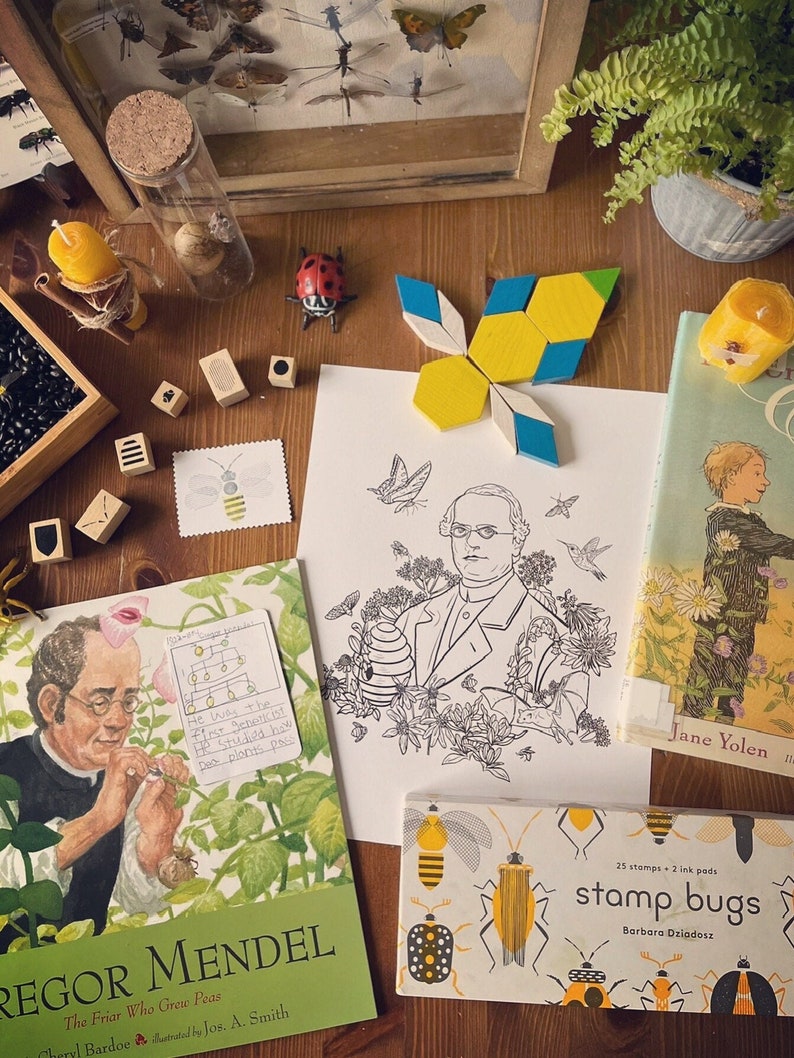Bees, Pollination, Emily Dickinson and Gregor Mendel Unit Study - Etsy